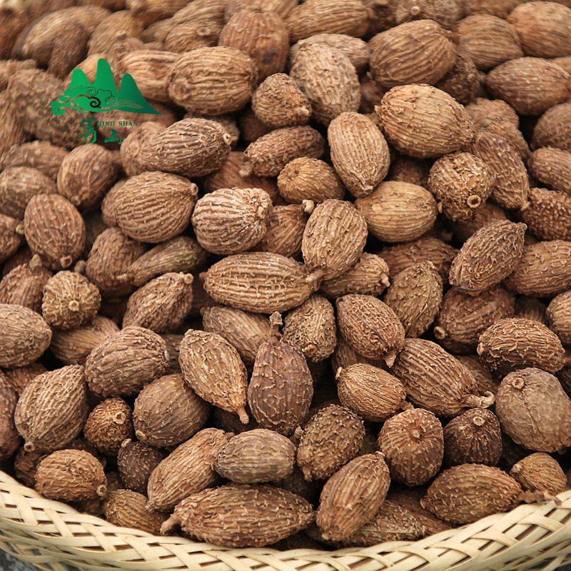 Qingshan chinese kruidengeneeskunde amomum birma 250g