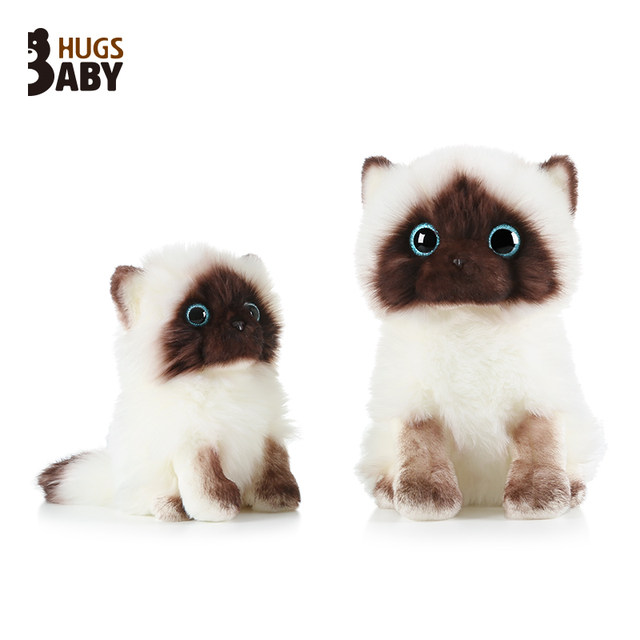 Cute cat doll, simulated Siamese cat doll, plush toy, super cute rag ...