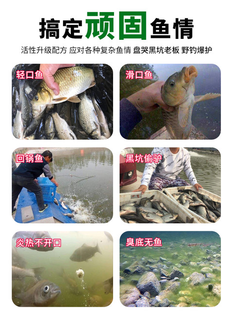 High concentrated fruit acid fishing small medicine Daquan field ...