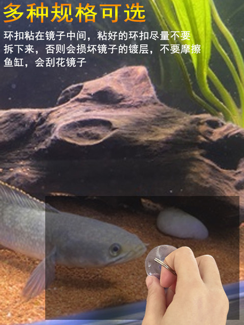 Thunder dragon fish training mirror, fighting fish Arhat, double-sided ...