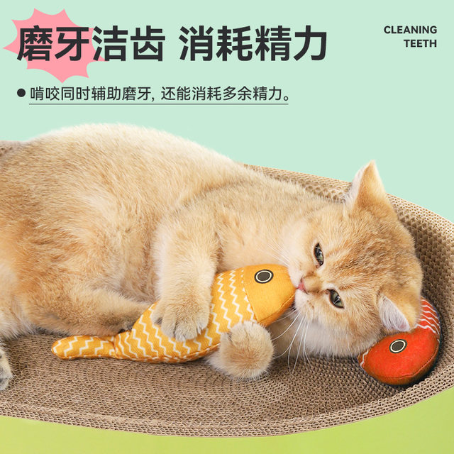 All catnip cat toys fish kittens and young cats self-pleasure to relieve boredom cat teeth ...