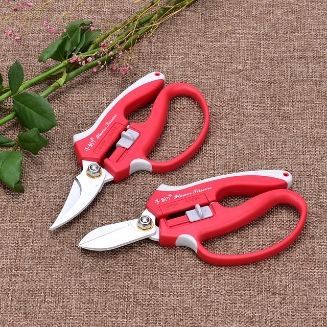 Imported Japanese florist home flower scissors gardening scissors ...