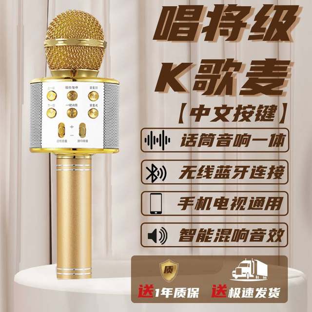Chinese version 858 microphone wireless karaoke microphone mobile phone ...