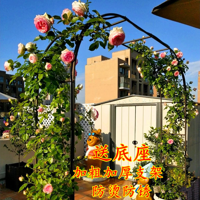 Wrought iron arch flower stand climbing vine stand grape stand garden ...