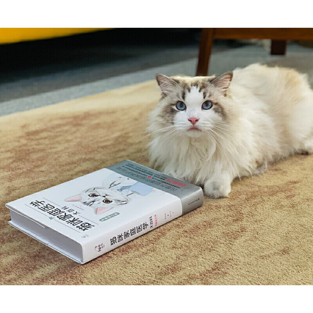 Genuine revised version of cat family medicine encyclopedia cat basic ...