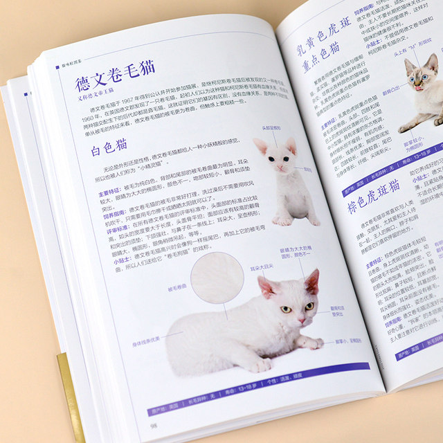 Set of 2 volumes of cat light illustrations, cat's happiness, cat ...