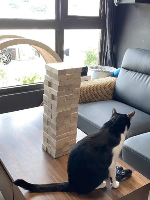 Extra-Large Stacking Blocks, Extra-Large Layer-By-Layer Stacking Fun ...