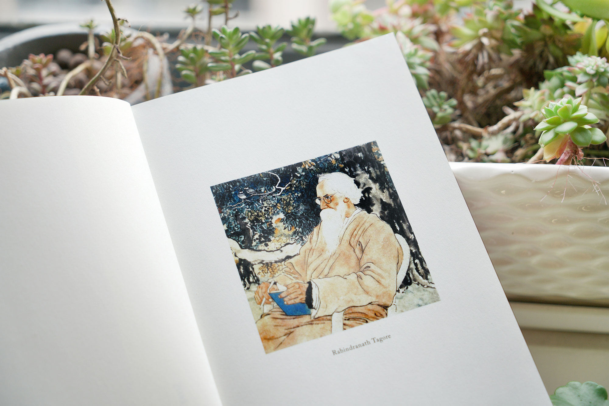 The Flying Birds 2019 Chinese-English Bilingual Color Illustrated ...