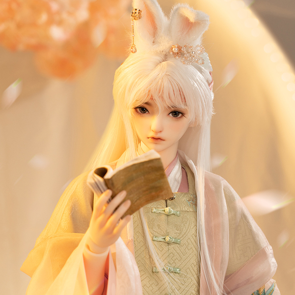 Dragon Soul Humanoid Society Twenty-Eight Stars Room Sun Rabbit BJD ...