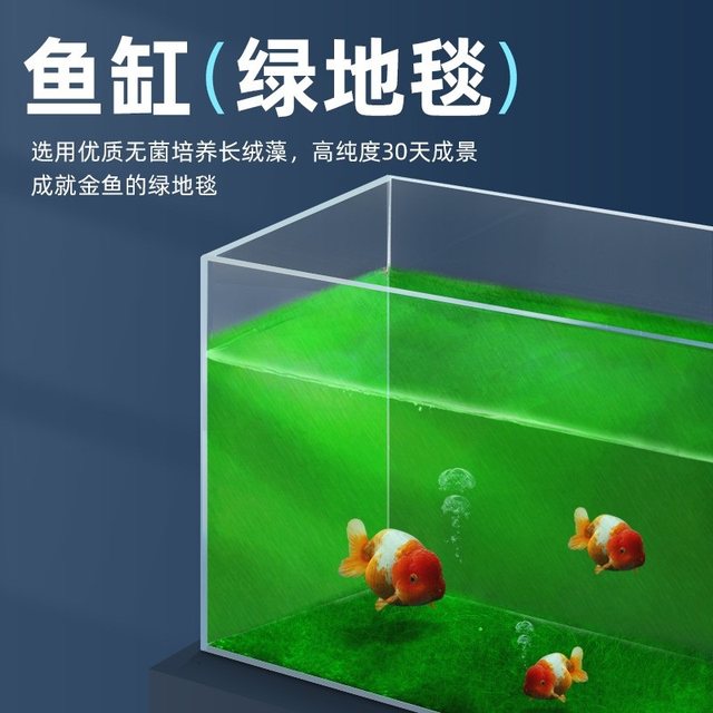 yeelanshou velvet algae short velvet algae spores green algae fish tank ...