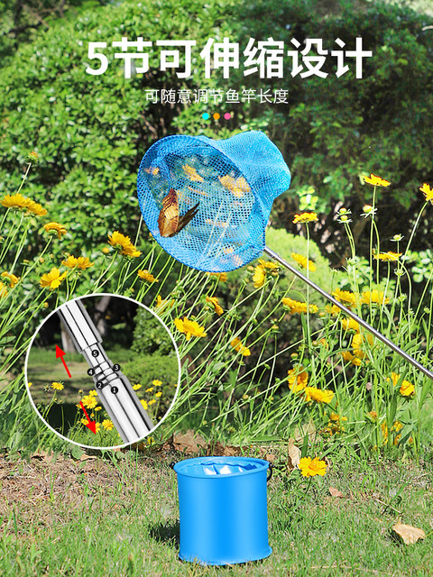 Children use fishing nets, dragonfly butterfly nets to catch insects ...