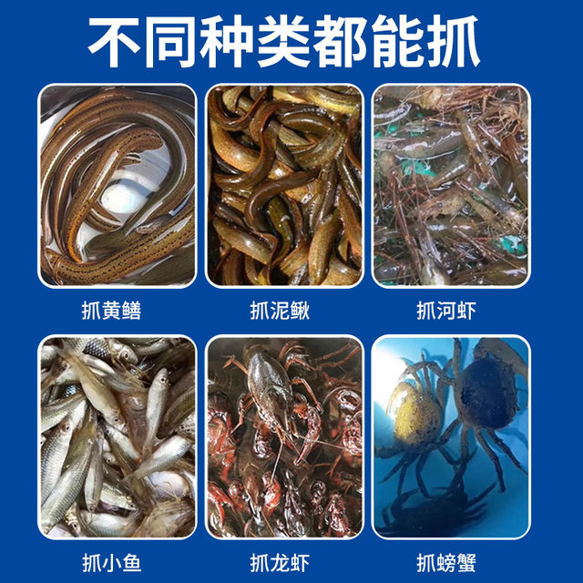 eel cage, fishing cage, eel loach cage, shrimp cage, fish cage, fish ...