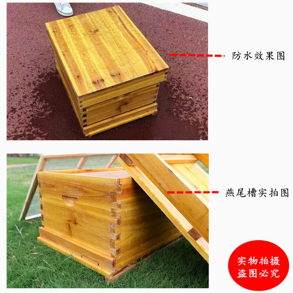 Live bottom ten frame activity beehive bee hive complete set of plates ...