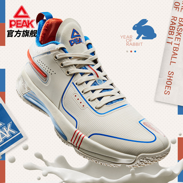 Peak status flashes 4th generation basketball shoes for men in Year of ...