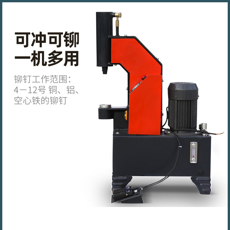 D.l Brake Pad Rivet Machine - Electric Hydraulic Shoe Riveting