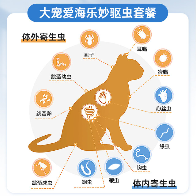 Great pampering cat external deworming drug cat internal and external ...