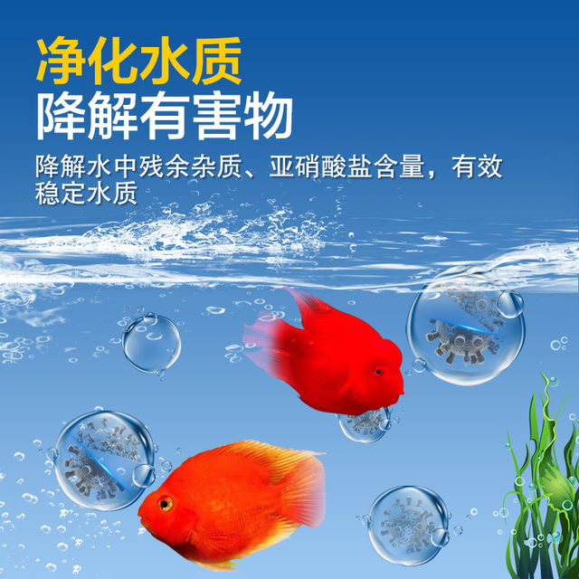 Methylene blue ornamental fish special non-white spot fish purifier ...
