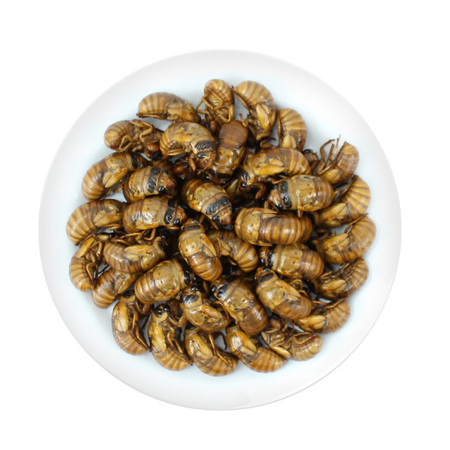 2024 Live Cicada Monkey Fresh Live Golden Cicada Frozen Turtle Climbing ...