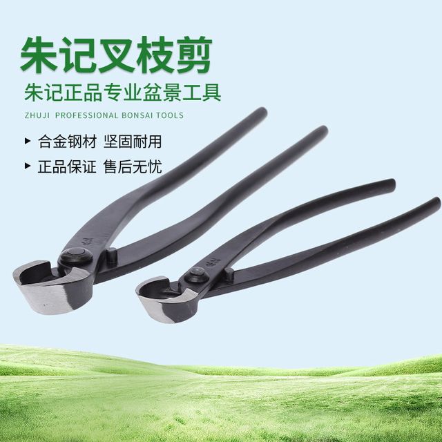 Zhuji slanted slim branches and scissors Zhuji bonsai tools oblimated ...