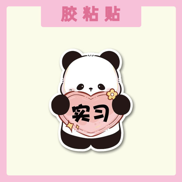 Internship car stickers for novice female drivers on the road magnetic ...