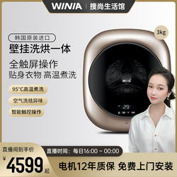 Wall-mounted washing machine