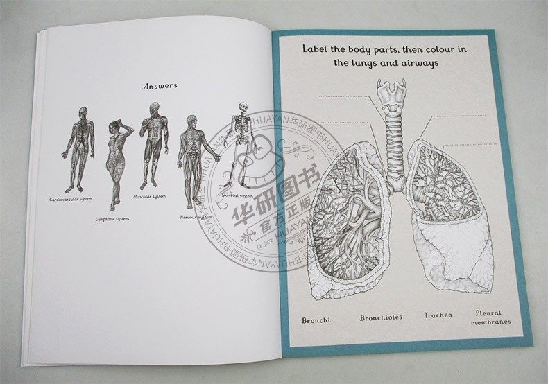 Bienvenue dans le livre d'activités anatomicum de la série museum ...