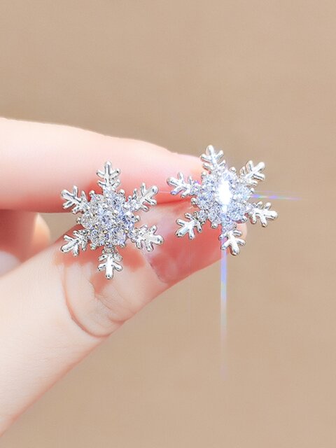 Autumn and winter snowflake earrings 2024 new tide Korean Internet ...