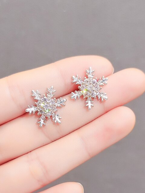 Autumn and winter snowflake earrings 2024 new tide Korean Internet ...