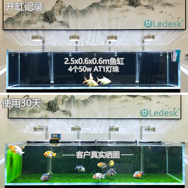 Ledi LED original ecological stream tank lamp algae-exploding goldfish ...