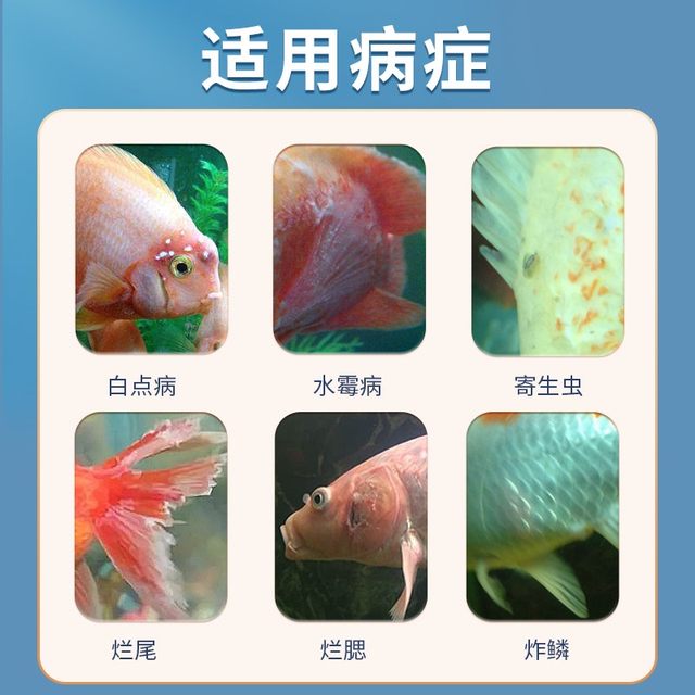 yee methylene blue disinfection and sterilization for ornamental fish ...