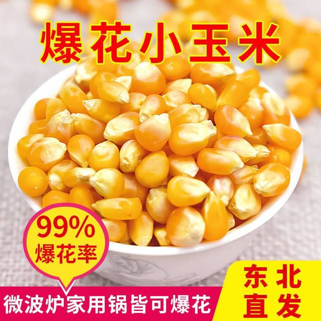 Special corn kernels for popcorn Spherical popcorn Small corn for ...
