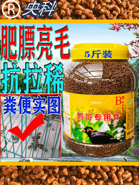 Brother Bird Food Feed, Brother Feed, Bird Bird Eat, Geya Feed, Brother ...