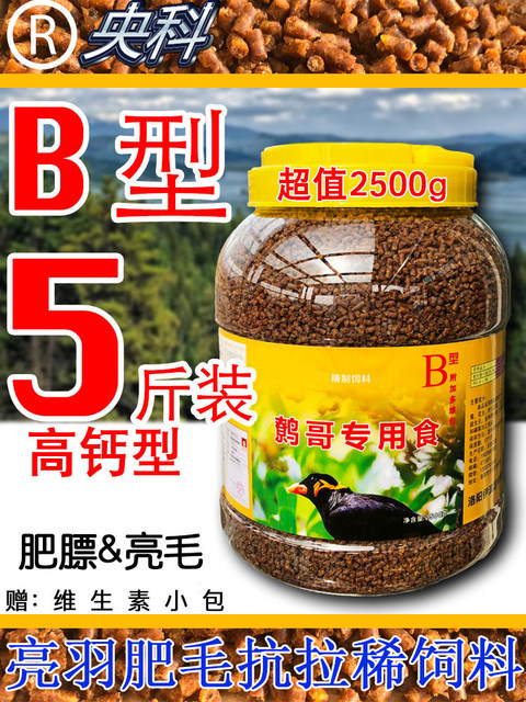 Brother Bird Food Feed, Brother Feed, Bird Bird Eat, Geya Feed, Brother ...