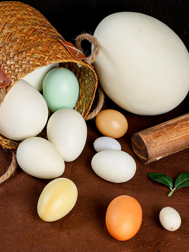 Han Han Simulated Eggs - Duck, Goose, Ostrich, Dinosaur & Quail Egg Models
