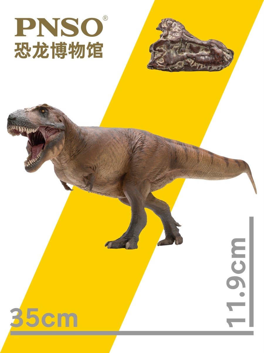โมเดลไดโนเสาร์ Pnso Tyrannosaurus Cameron 1:35 พร้อมกะโหลก T-Rex