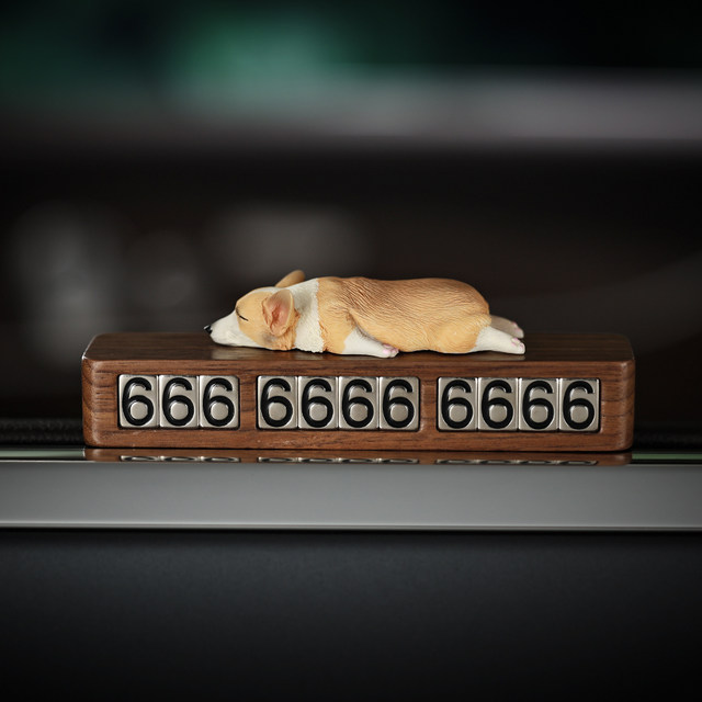 Lazy sleeping Little Shiba Inu senior walnut car roadside temporary ...