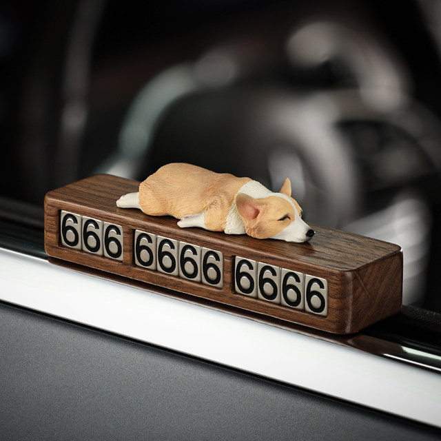 Lazy sleeping Little Shiba Inu senior walnut car roadside temporary ...