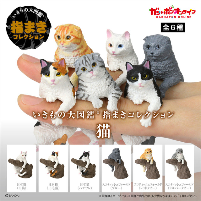 Japan's genuine Bandai Biological Encyclopedia Cat Gacha on the ...
