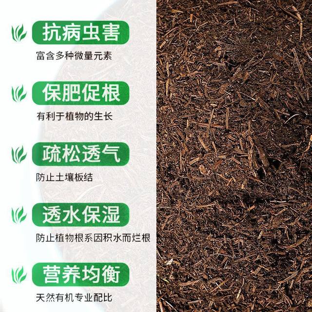 Pine needle humus soil nutrient soil pure pine needle flower soil pine ...