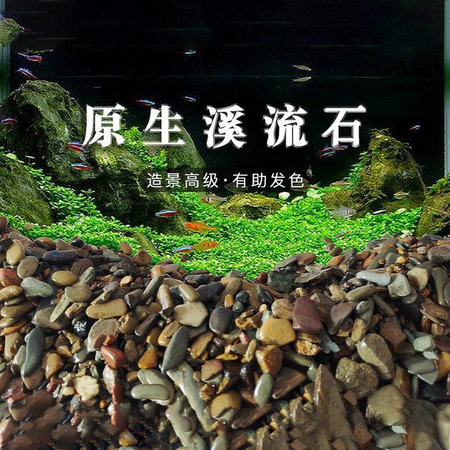 Primary fish tank landscaping bottom sand stream stream stone water ...