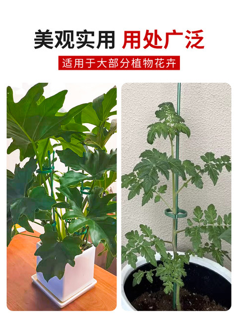 Bird of paradise support rod special monstera climbing pergola plant ...