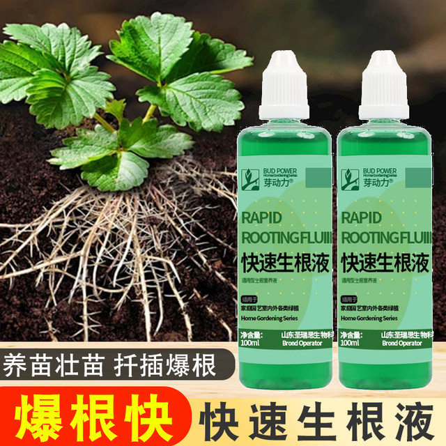 Rapid rooting liquid, cutting, transplanting, flowers and trees, strong ...