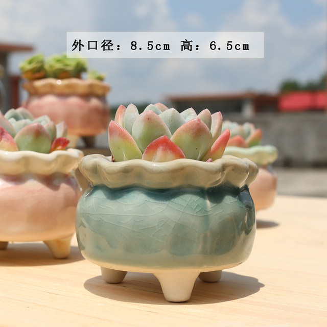 Succulent plant flower pot simple ice cracked rainbow creative ...