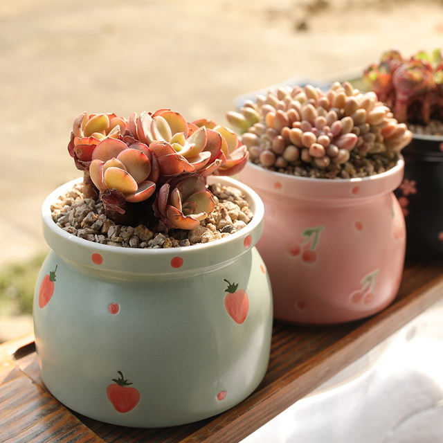 Simple Internet celebrity succulent plant flowerpot ceramic milk jar ...