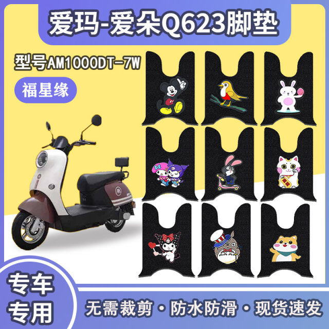 Emma Aido PRO Q623 electric vehicle floor mats AM1000DT-7W waterproof ...