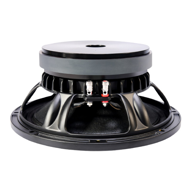 SUINY/Shuyin 10-inch mid-bass speaker 75-core 170 magnetic full ...