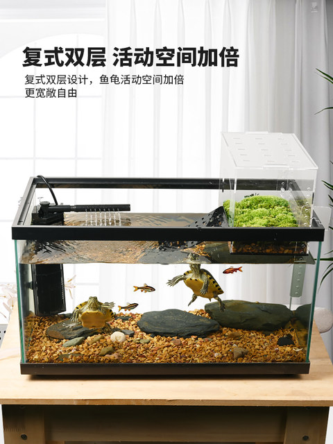 Turtle breeding tank fish turtle mixed with high water level with sun ...