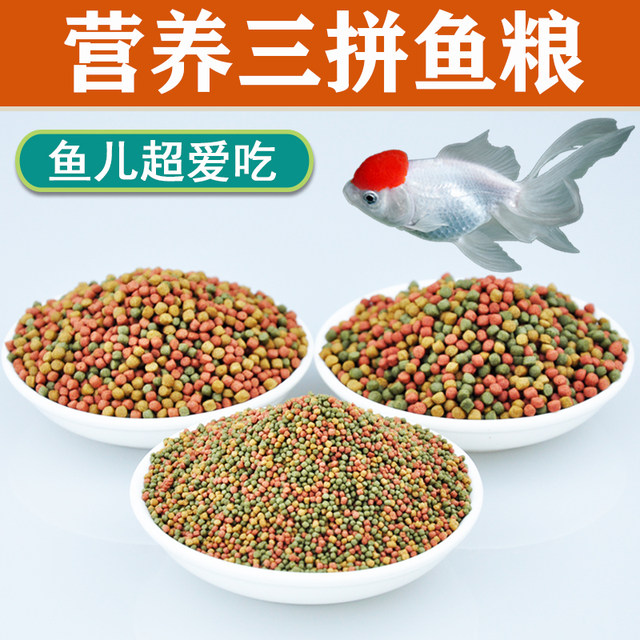 Fish food goldfish koi special fish feed ornamental fish fattening and ...