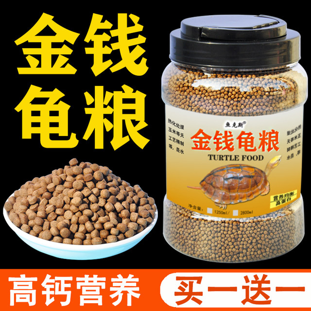 Turtle grain stone money turtle feed yellow throat, turtle turtles ...