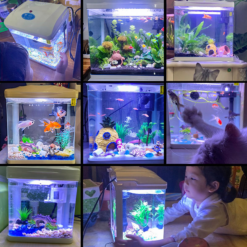 Sensen Ökologisches desktop-aquarium: mini-glasaquarium für wohnzimmer